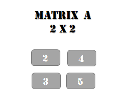 Matrix 2 x 2 Calculator